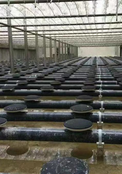 Crown Type Bubble Air Disc Diffuser Manufacturer Company Oem Jiangsu Wafull Environmental