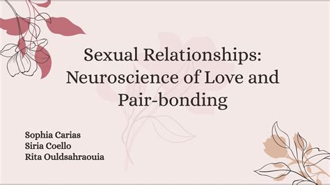 Sexual Relationships Neuroscience Of Love And Pair Bonding YouTube