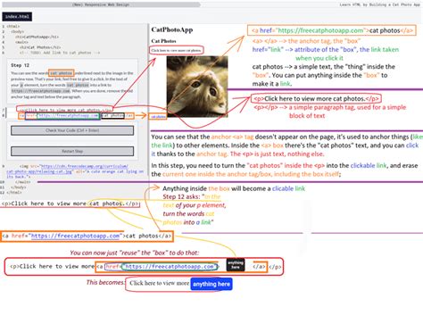 Learn HTML By Building A Cat Photo App Step 11 HTML CSS The