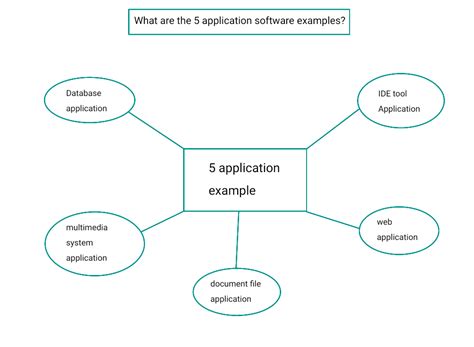 What Are The 5 Application Software Examples