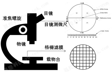 显微计数法用于不溶性微粒检查检测胤煌科技