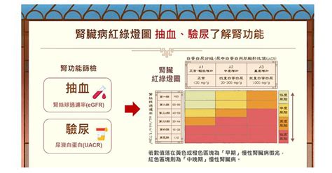 洗腎發生率近5年來首降4大慢性腎病高風險族早篩早治掌握腎利人生 蕃新聞