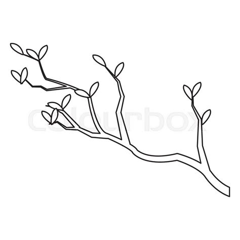 Outline Branch Leaves Tree Nature Stock Vector Colourbox