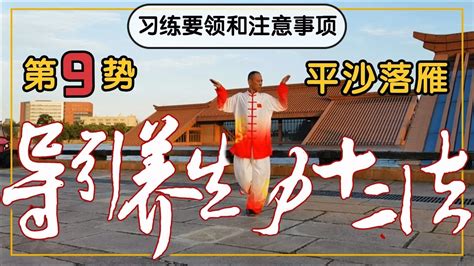 健身气功导引养生功十二法第9势习练要领和注意事项收藏学习 YouTube