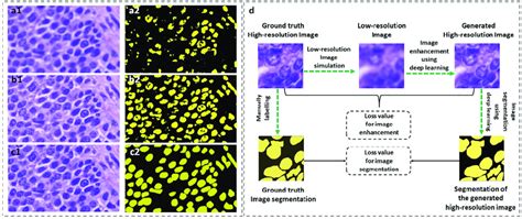 The Hande Image Segmentation Of The Low Resolution Image And The