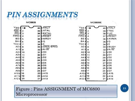 [diagram] Block Diagram Of 68000 Microprocessor Wiringschema Com
