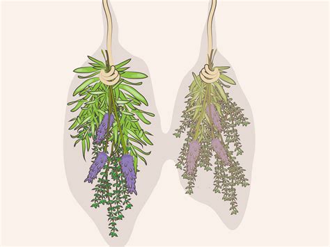 How To Build Nesting Boxes Simple Step By Step Guide