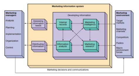 Chapter 3 Flashcards Quizlet