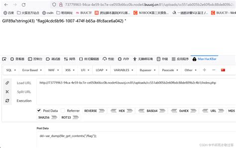 web buuctf [suctf 2019]checkin1 illegal suffix csdn博客