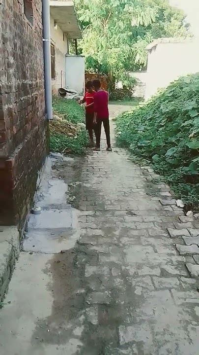 Bhai Chaku Hai Kya Shortfeedvideofunny Video Comedy Youtube