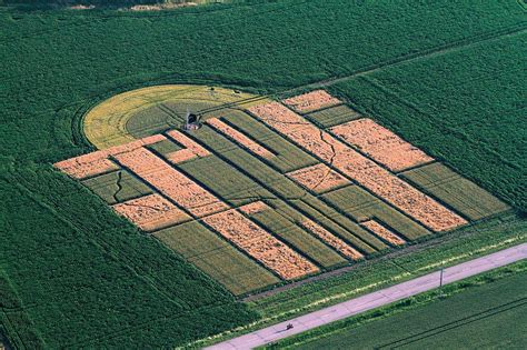 Bio Publications Nicolas Chénard