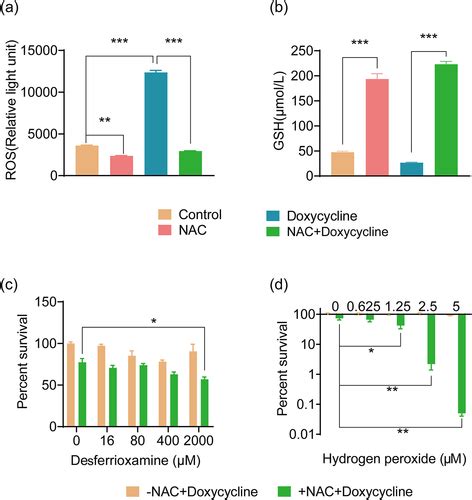 Full Article N Acetylcysteine Promotes Doxycycline Resistance In The