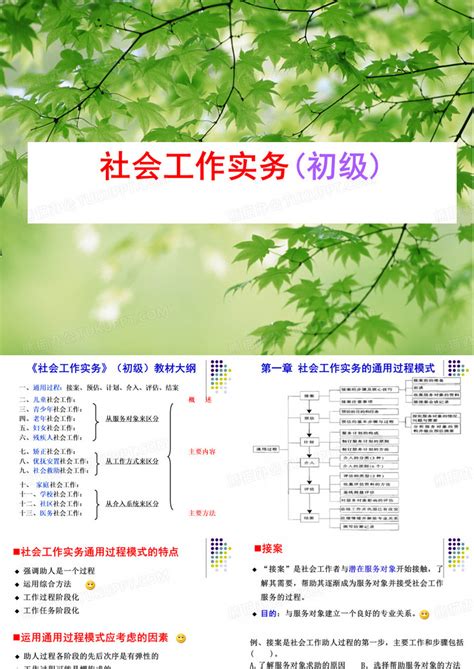 社工实务初级ppt模板下载 编号qomrevoq 熊猫办公