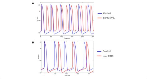 A Effect Of Hyperkalemia K O 8 MM Conditions On Model AP Download Scientific