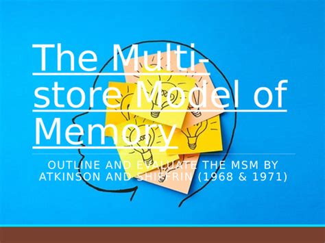 Aqa A Level Psychology Memory The Multi Store Model Of Memory Teaching Resources