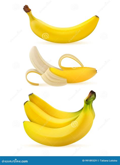 Realistic Ripe Bananas Isolated On A White Background Stock Vector