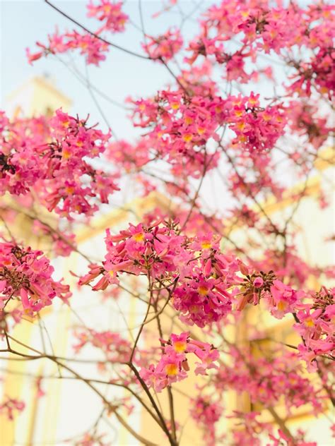 Javeria Batool On Linkedin And One Day It Will All Turn Into