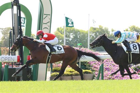 每日賽馬晚報2023年4月22日京都競馬場重開Right You Are險勝稀世珍寶直闖考盃 Flameracing