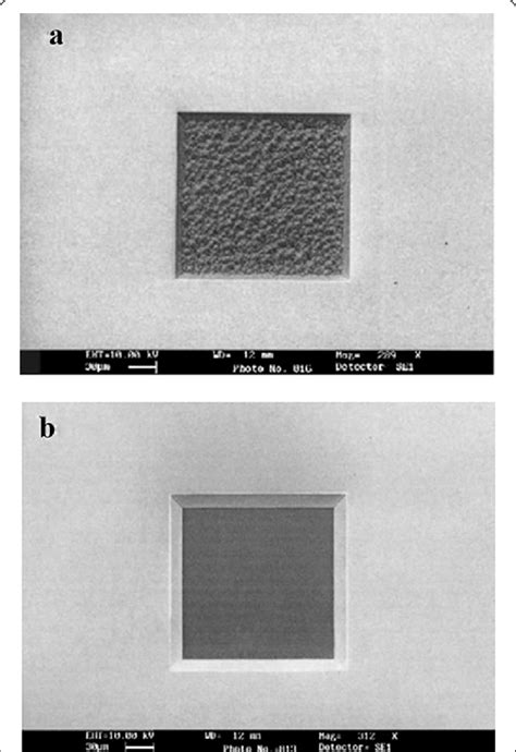 Sem Micrographs Of Etched Silicon Surfaces With Dissolved 1 6 Wt Download Scientific Diagram