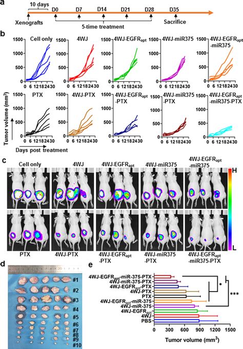 Antitumor Efficacy Of Nanodrugs And Ptx On Escc Xenograft Mice A