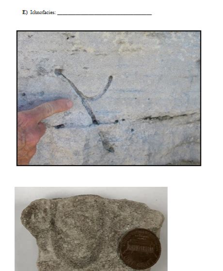 Solved Listed Below Are Different Assemblages Of Chegg
