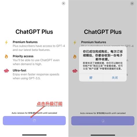ChatGPT4 PLUS最简单最官方开通指南无需海外信用卡无需虚拟卡 2024最新WordPress建站指南