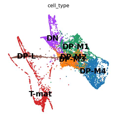 hands on inferring single cell trajectories with scanpy inferring single cell trajectories