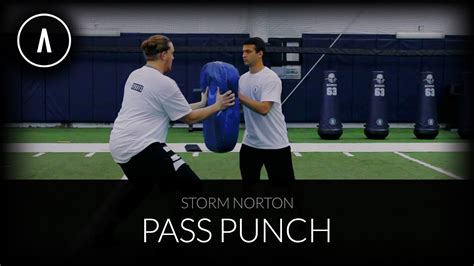 Proper Punch In Pass Protection Copy Apex