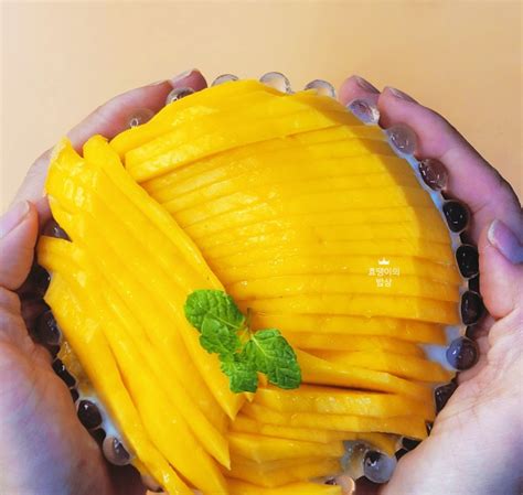 망고빙수 만들기 호텔 망고 우유빙수 레시피