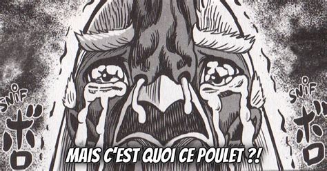 Rooster Fighter Mais Cest Quoi Ce Poulet Gaak