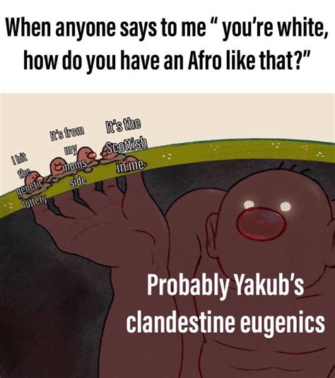 Yakub Yakub Know Your Meme