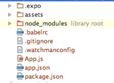 Fast Track Your Cross Platform React Native Forge App With The Expo SDK