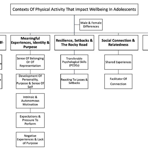 Adolescents Perceived Influences Of Physical Activity And Sport On Download Scientific Diagram