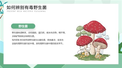 预防野生菌中毒教育ppt模板 优品ppt