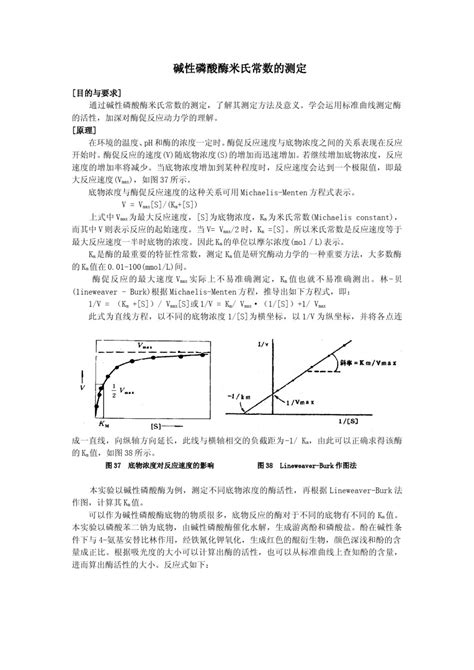 碱性磷酸酶米氏常数的测定 doc 考拉文库