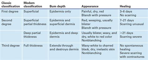 Classification Of Burn Depth At Paula Banks Blog
