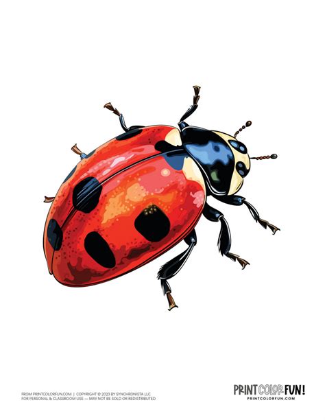 30 Bug Clipart And Coloring Pages Explore The Tiny Universe With Fun Facts And Craft Ideas At