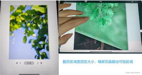 Vue项目结合turnjs制作翻页动画，项目部署发布，从零到1 Csdn博客