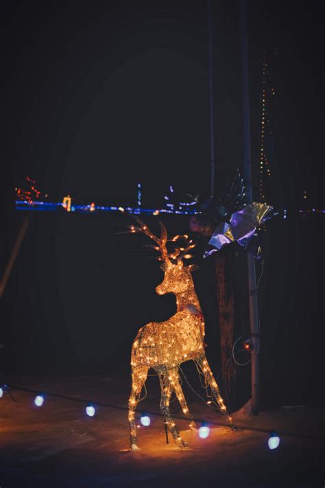 겨울 겨울 동화나라 계절 깨끗한 유리 매달린 보케 복잡한 디자인 부드러운 빛 빛의 반사 상징적 인 섬세한 세라믹 엔젤 수공예품 연말연시 영적인