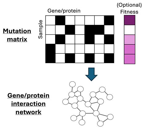 Research In The Chitra Lab