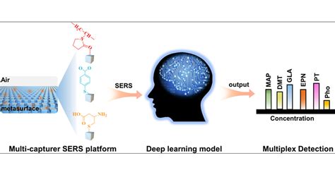 Deep Learning Based Multicapturer Sers Platform On Plasmonic Nanocube