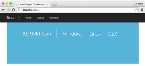 Forking The Pipeline Adding Tenant Specific Files With SaasKit In ASP