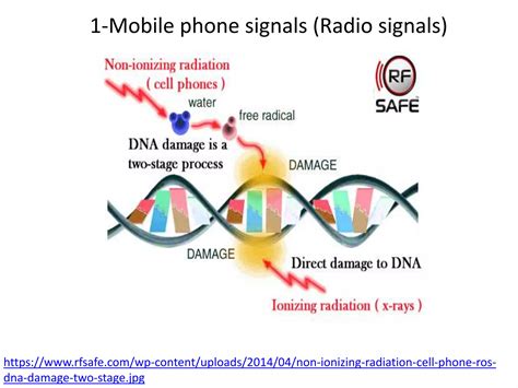Switching On Sex Mastered By Sry Gene Pptx Reproductive Health