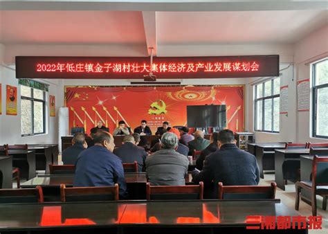 用心用情这个驻村工作队绘乡村振兴美丽画卷 三湘都市报