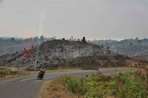 ပဲခူးရိုးမ ဧရိယာထဲနေ တရားမဝင်သစ်ခိုးထုတ်သူတွေကို ၁၀ ရက်အတွင်း ထွက်ခွာဖို့ ရိုးမစွမ်းအားတပ်ပေါင