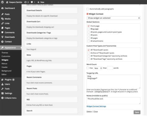 Widget Context 10 Now Available Wordpress — Kaspars Dambis