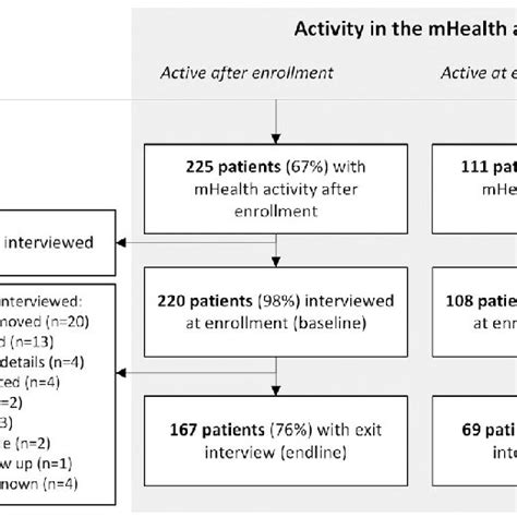 Feasibility Study Timeline Including Study Outcomes Download