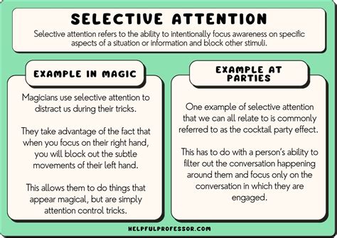 Examples Of Selective Attention In Everyday Life