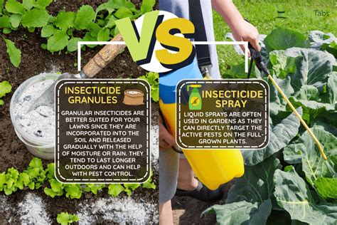 Insecticide Granules Vs Spray Which Is Best For Your Lawn And Garden