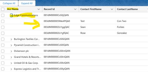 Sfdc Learn 13 Record Hierarchy Using Lightning Tree Grid In Lwc Dinesh Samudre